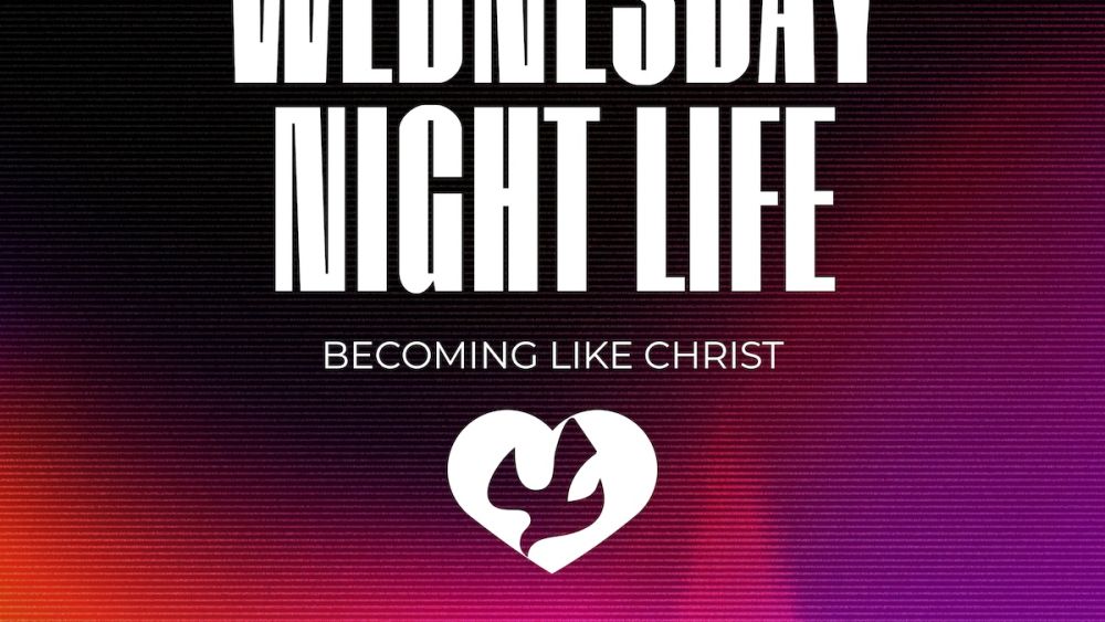 Wednesday Night Life