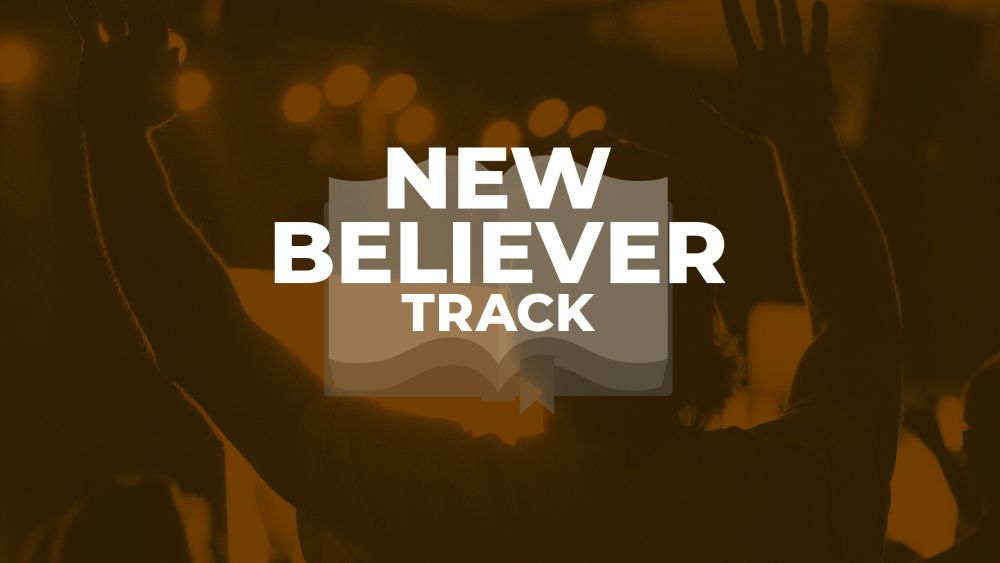 New Believer Track | LifeFamily Austin